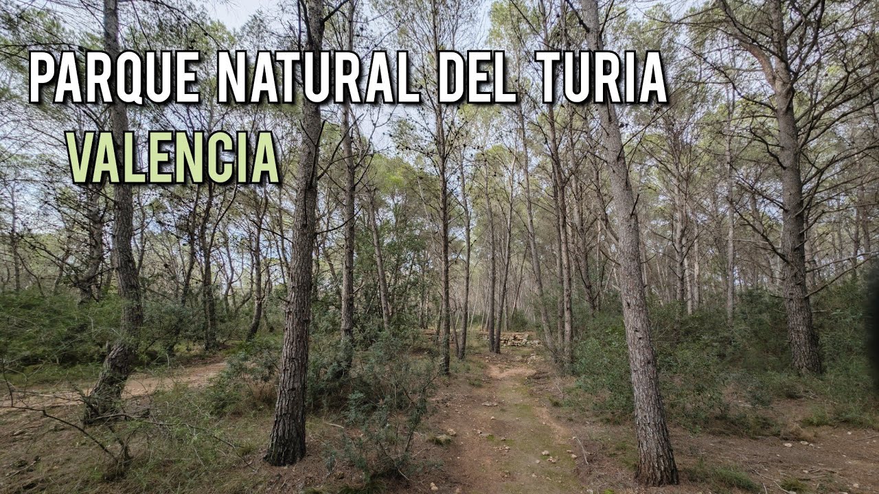 Parque natural del Turia (Valencia)