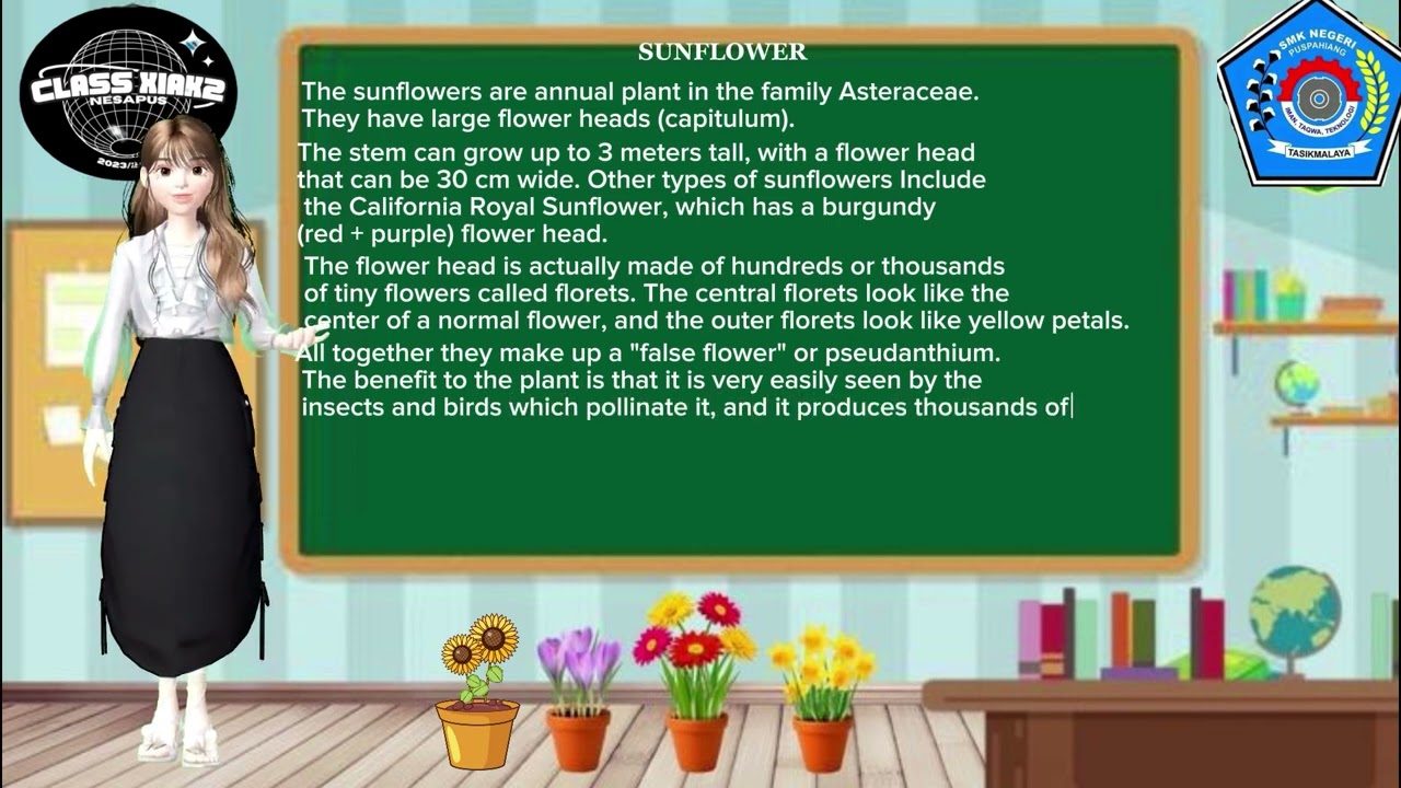 the sunflower FACTUAL REPORT TEXT