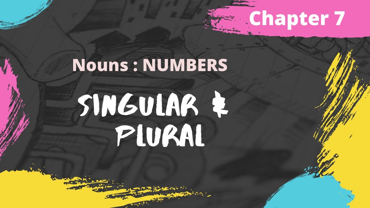 Noun : Numbers| Singular and Plural | Chapter 7 | Wren and Martin | Examples | Exercise