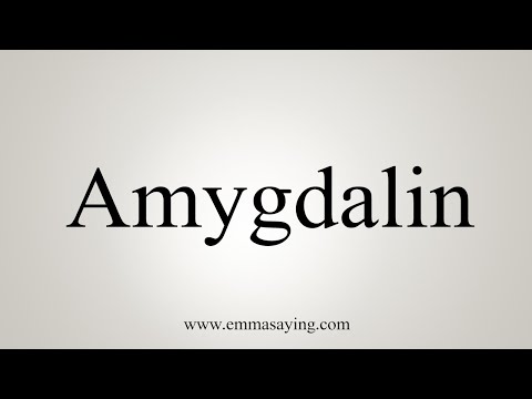 How To Say Amygdalin
