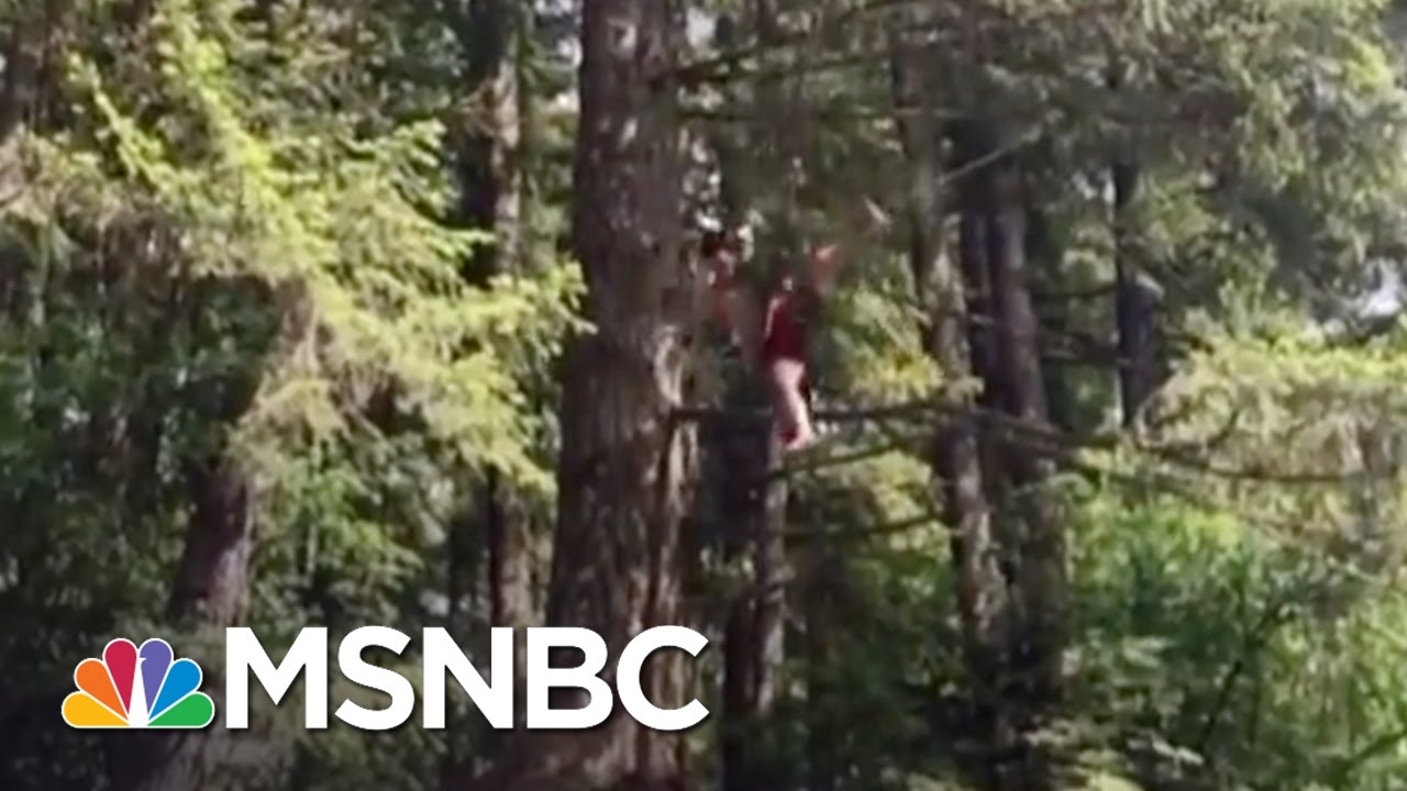 What To Do If You Fall From A Tree (Web Exclusive) | Split Second Decision | MSNBC