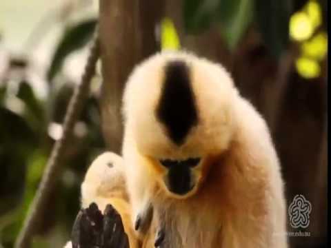 Zoologist