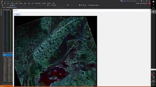 c++ - OpenCL Kernel for Canny - Stack Overflow
