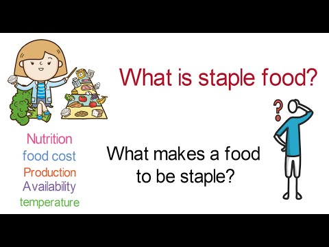 What is a STAPLE FOOD? Qualities of staple food. Factors for a food to be staple.