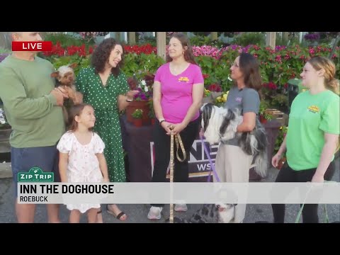 Zip Trip Roebuck: Inn the Doghouse