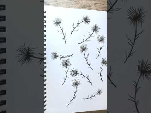 How to Draw Wildflowers | Simple Wildflowers Drawing