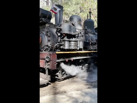 Choo-choo! Yosemite's Sugar Pine Railroad 'steams' ahead to an early 2024 Season opener