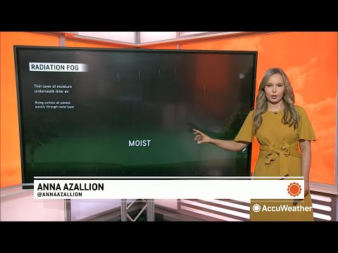 WeatherWhys®: What Causes Fog, Types of Fog