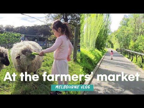 vlog ???????? Day at the Collingwood children's farm farmers' market, Melbourne with kids 호주 멜버른 브이로그