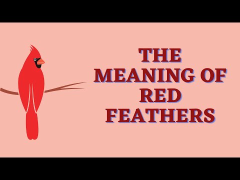 The Meaning of Red Feathers