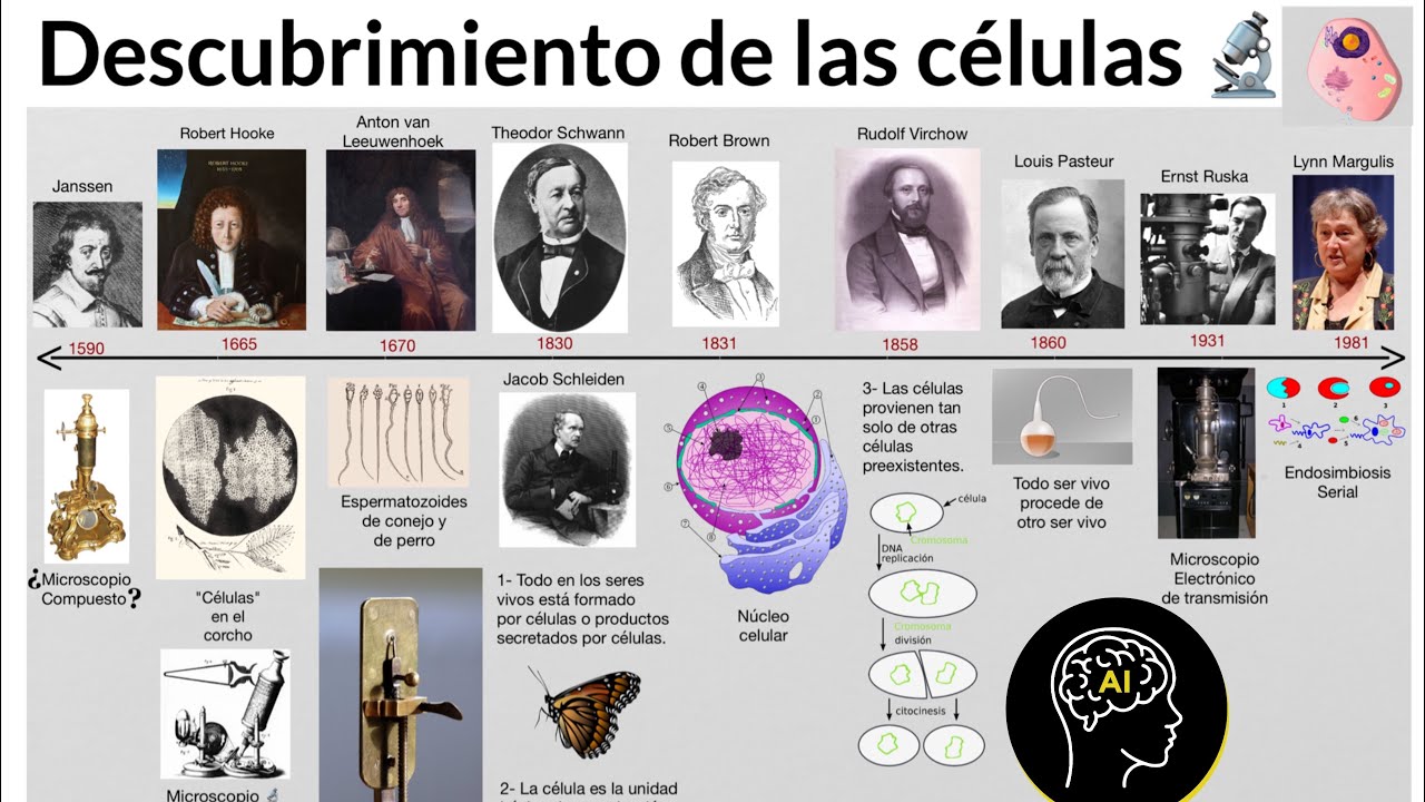Study of the cell through time, instruments of biology | Become a member of the EXANI course