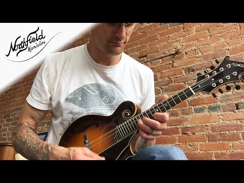 Artist Series A16017 (2 Bar Red Spruce Top)