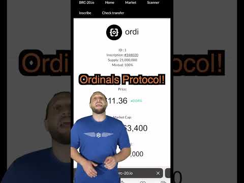 BRC-20 Explained!