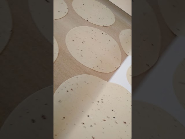 Papad Making Machine - Semi Auto Deluxe Papad Making Machine ...