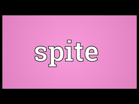 Spite Meaning