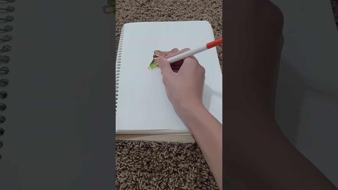 Timelapse Frog Drawing / Portrait of @thegamingalpaca1021 #drawing