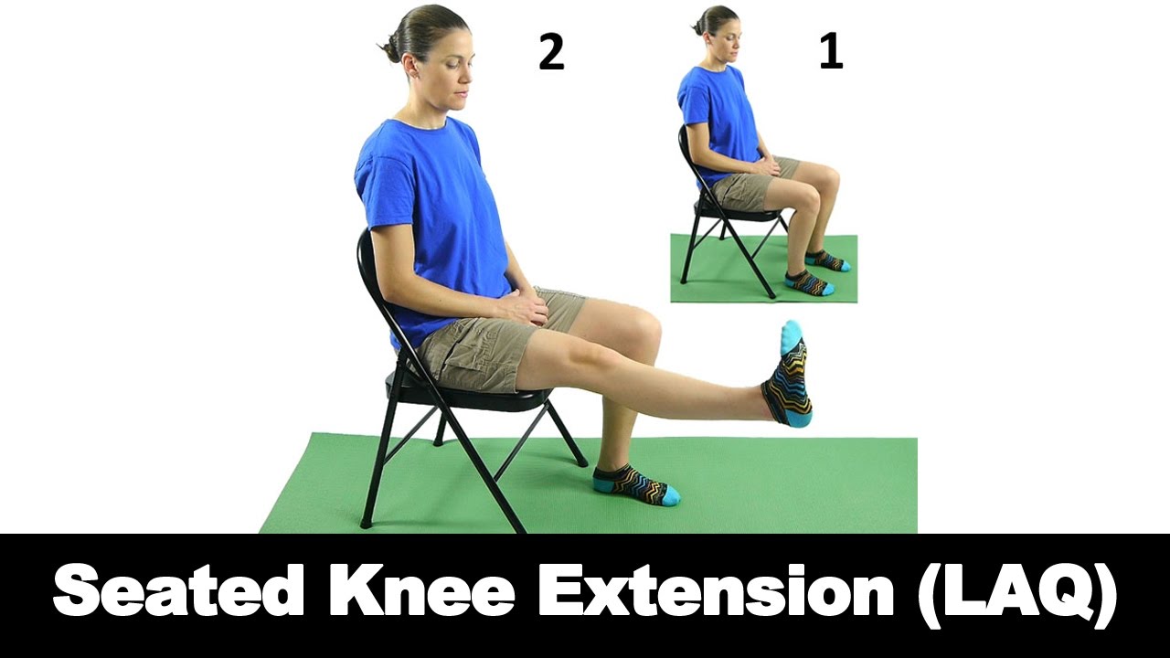 Seated Knee Extension (LAQ) - Ask Doctor Jo