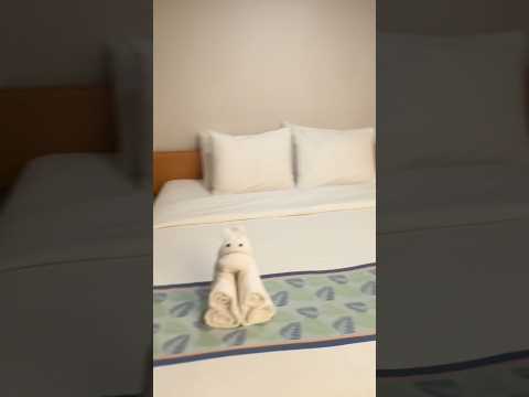 CARNIVAL MAGIC interior room tour | full tour in latest vlog ☺️ #travel