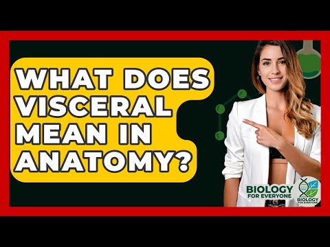 What Does Visceral Mean In Anatomy? - Biology For Everyone