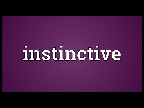 Instinctive Meaning