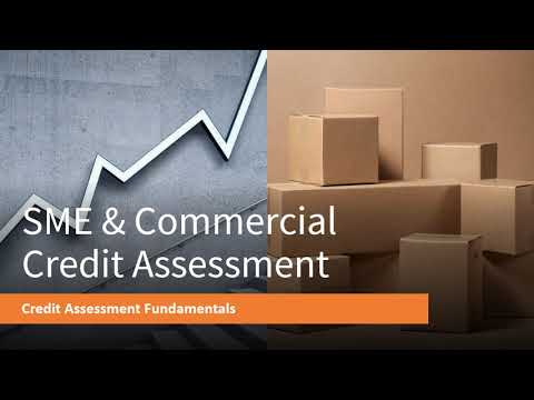 Credit Assessment Fundamentals: SME & Commercial Credit Assessment