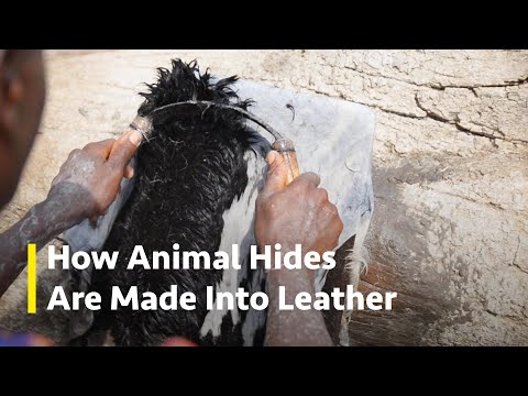 How Leather Is Made From Animal Hides | Leather Tanning Process