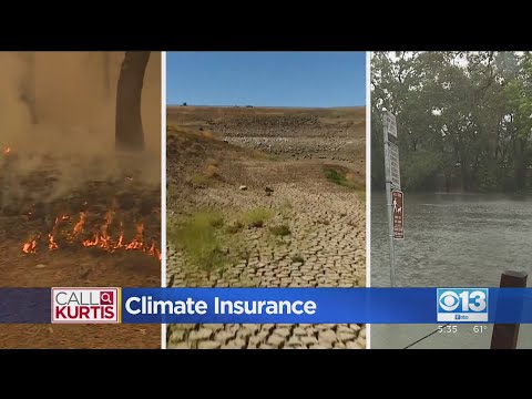 California Department Of Insurance Releases Report to Re-Imagine Insurance