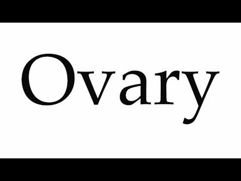 How to Pronounce Ovary