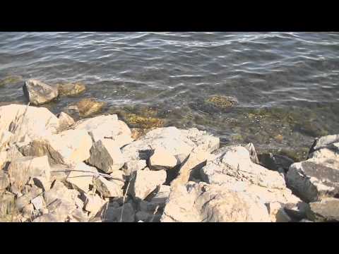 Bras d'or Lake Biosphere Reserve Introduction Part 1