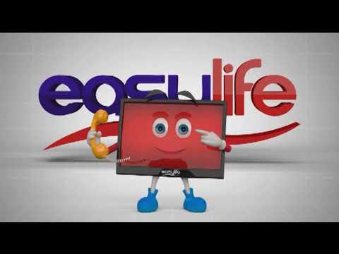 EASYLIFE LEATHER FURNITURE
