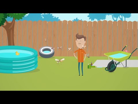 IOM Health, mobility and borders