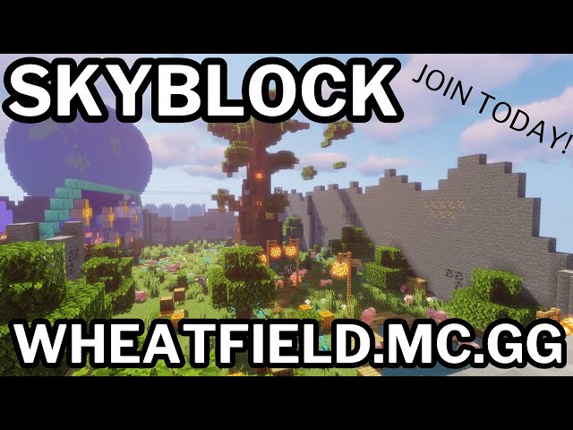 WheatField Minecraft Server