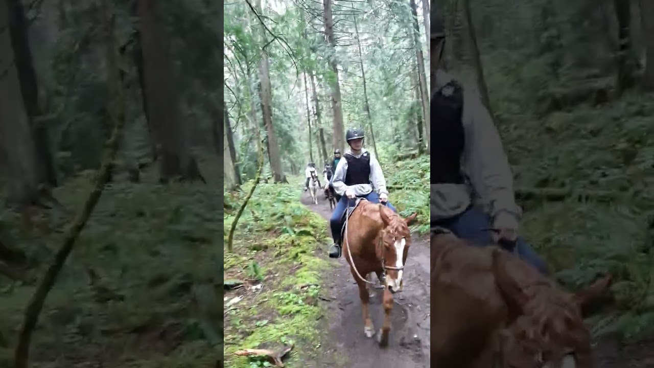Hack to Hemer Park, May 2023