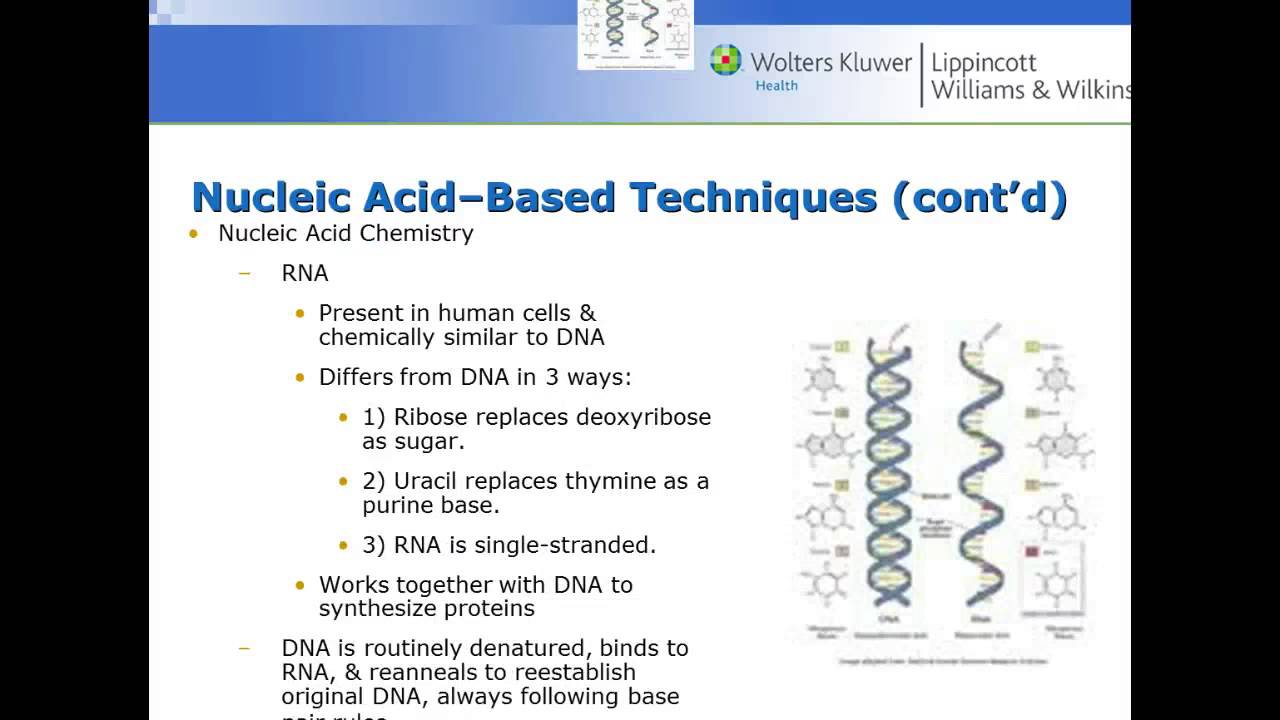 Chemistry 1 Module 3: Molecular Diagnostics
