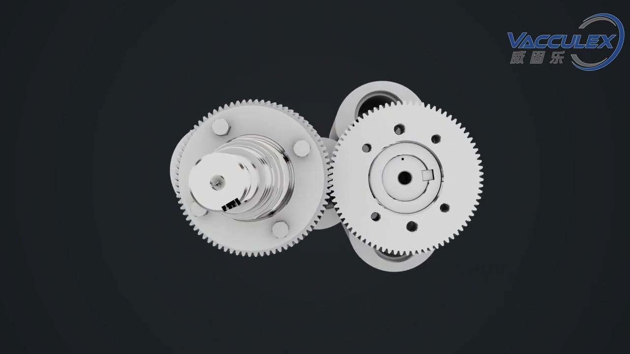 Roots vacuum pump - Vacculex