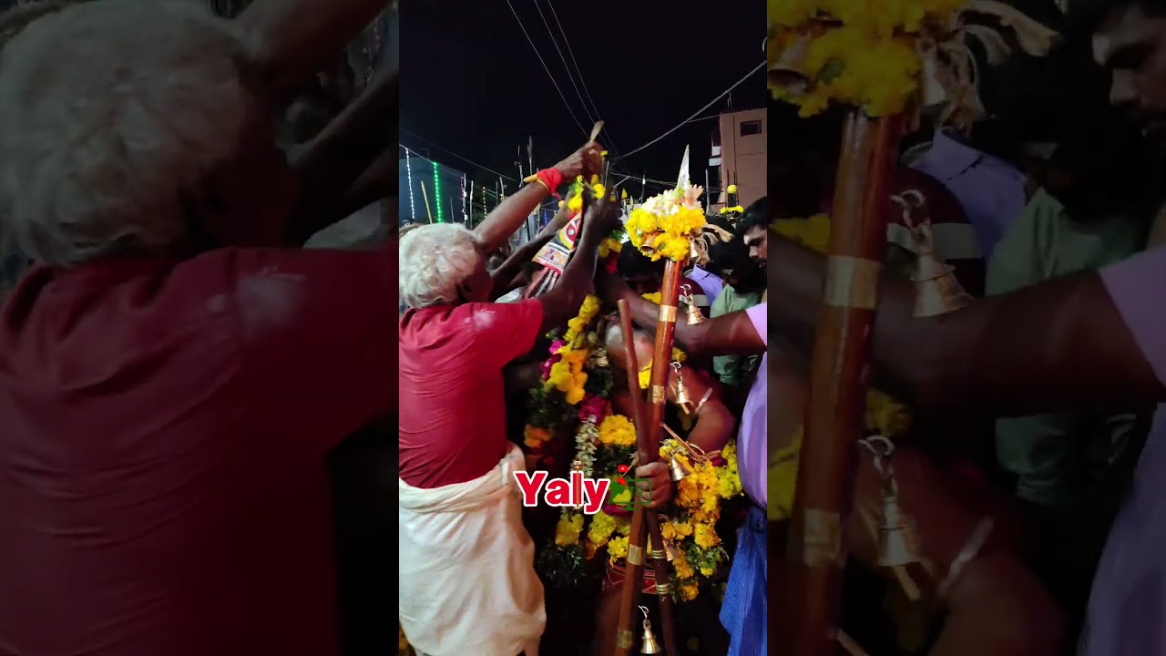 Karuppasamy #paramasivamthavil #yalytv #music #dancecraze