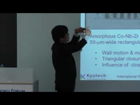 Magnetic domain observation of permanent magnets with a Kerr microscope - Masaaki Takezawa