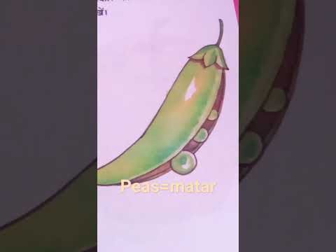 matar ki meaning