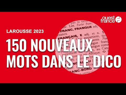 Du wokisme à l'halloumi, connaissez-vous les nouveaux mots du Larousse 2023 ? #Shorts