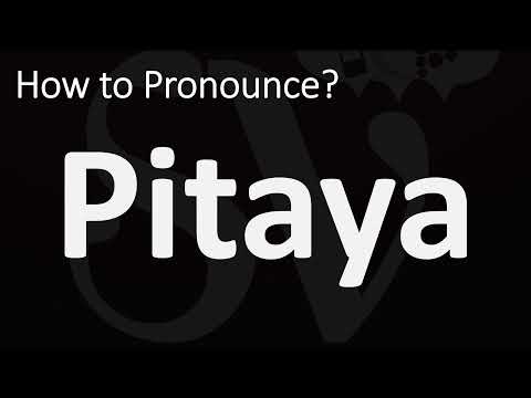 How to Pronounce Pitaya? (CORRECTLY)