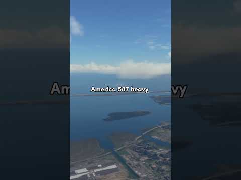 The Tragic Disaster Of American Airlines Flight 587 #aviation #travel #atc