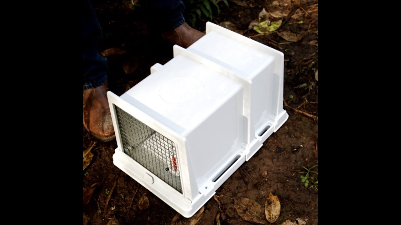 Effective & Humane Kill Traps