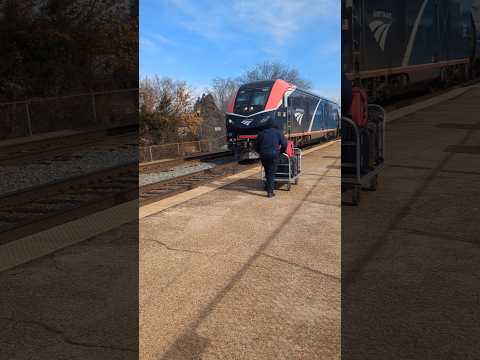 Amtrak 89 Palmetto to Savannah