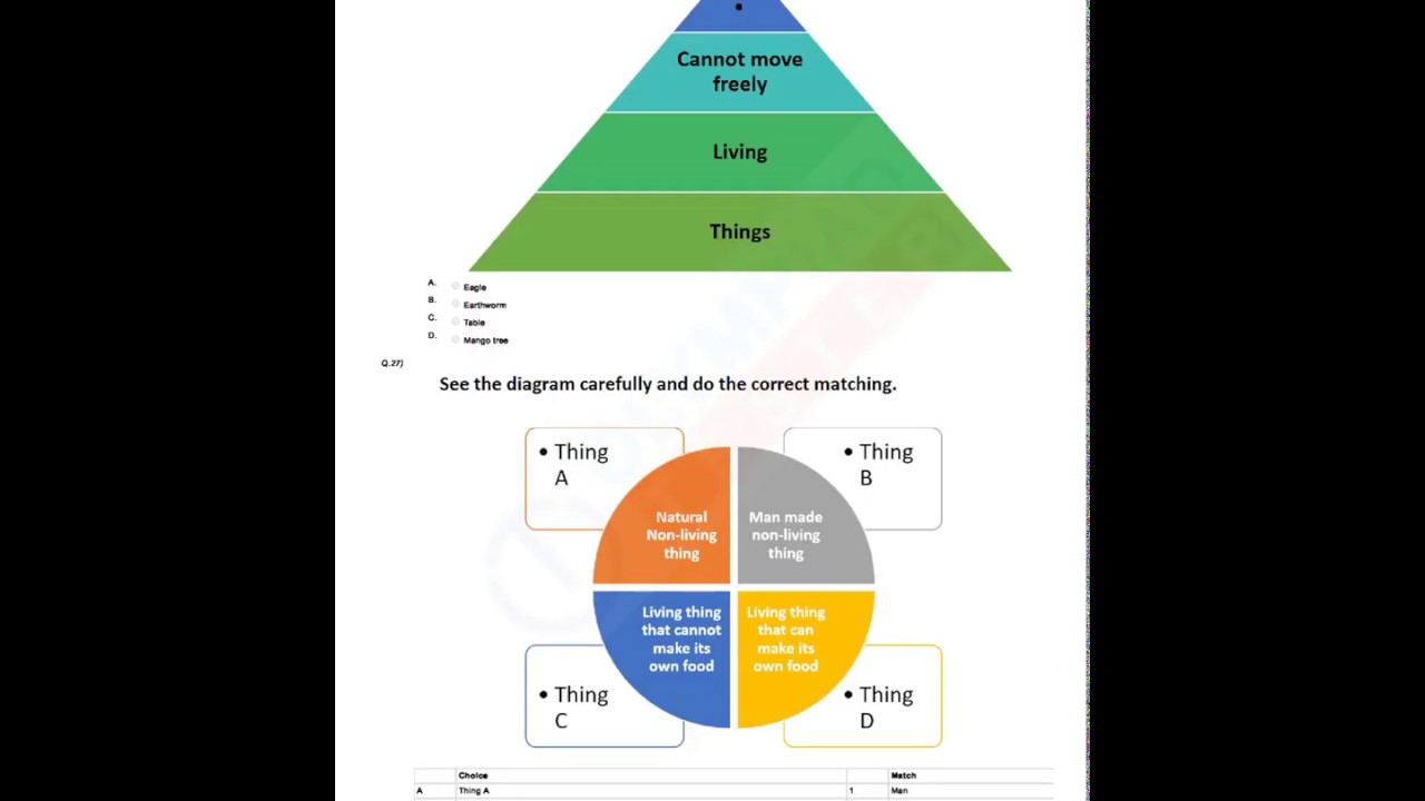 Class 1 Science Olympiad Sample papers