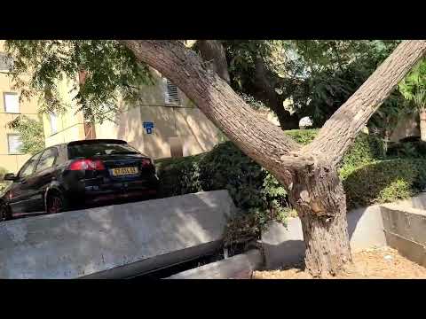 Residential neighborhood in Israel: walking around Ramat Aviv.
