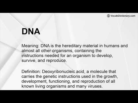 DNA Meaning