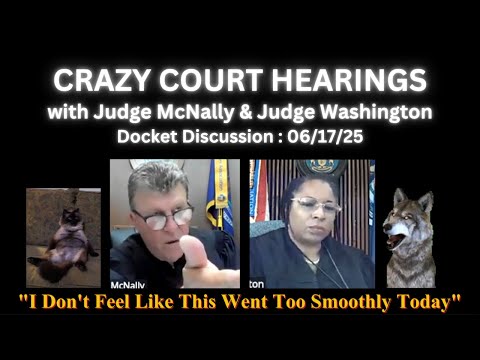 Crazy Court Hearings with Michigan Judges (McNally & Washington) - June 17, 2025
