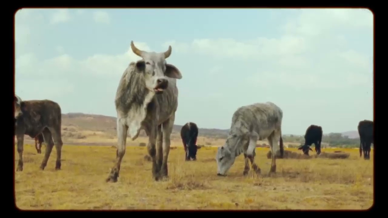 Sjava & Delayde - Grounding(Music Video)