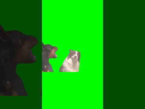 Rage Baiting Dog meme - Green Screen