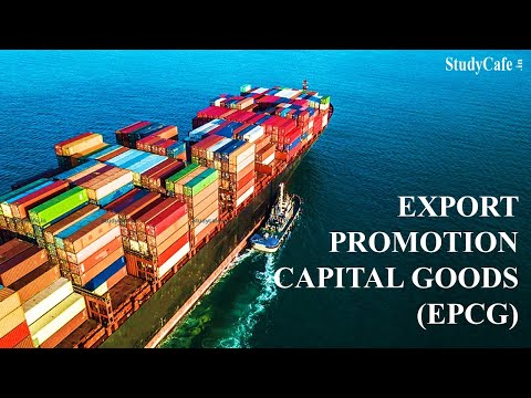 What is Import EPCG license